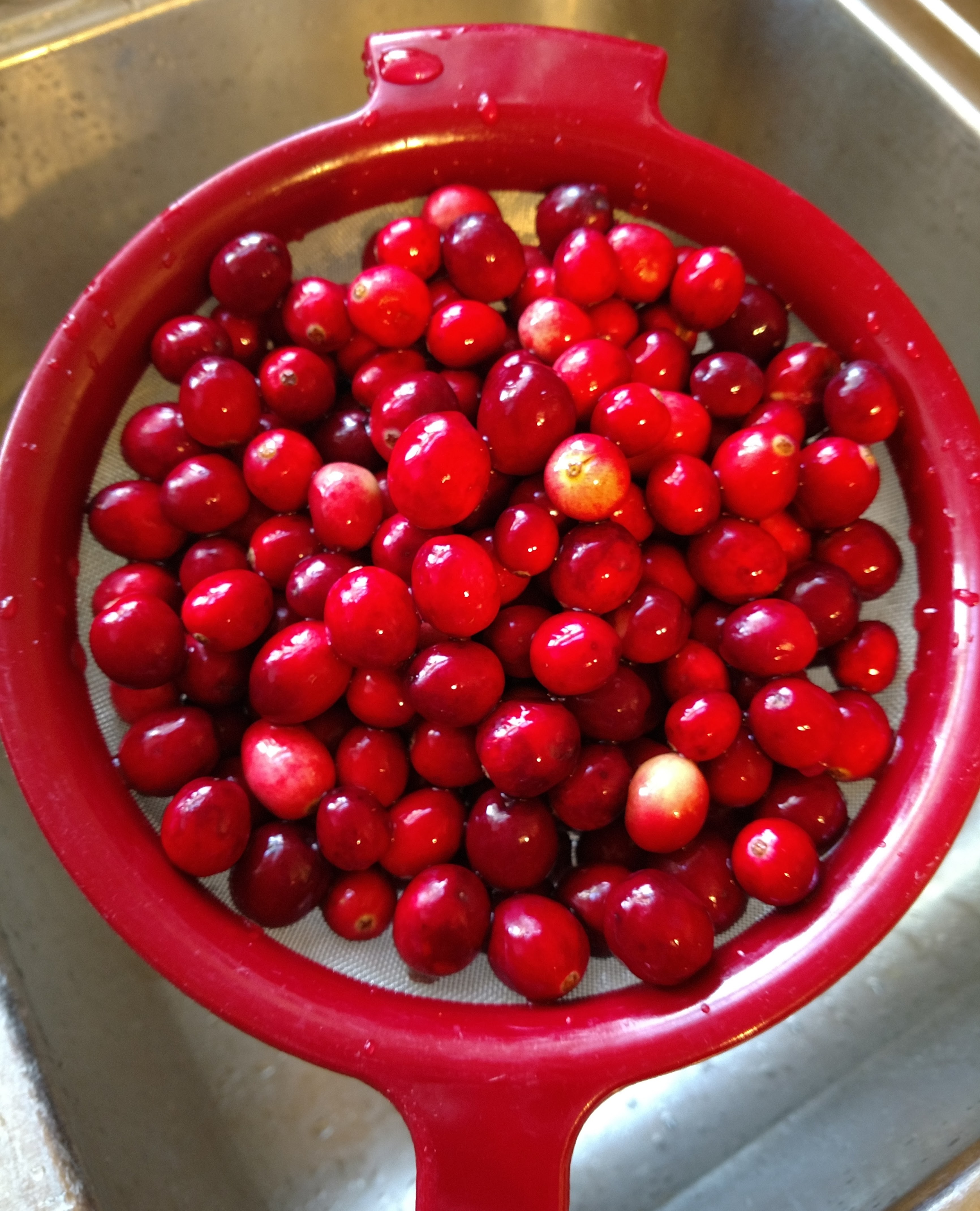 Thanksgiving Buddha Bowl with Super Tart Cranberry Sauce