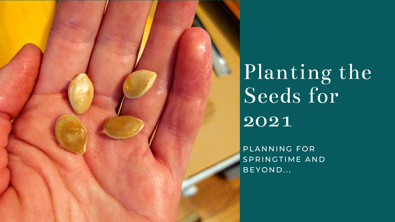 Planting the Seeds for 2021 {Gardening & Life}