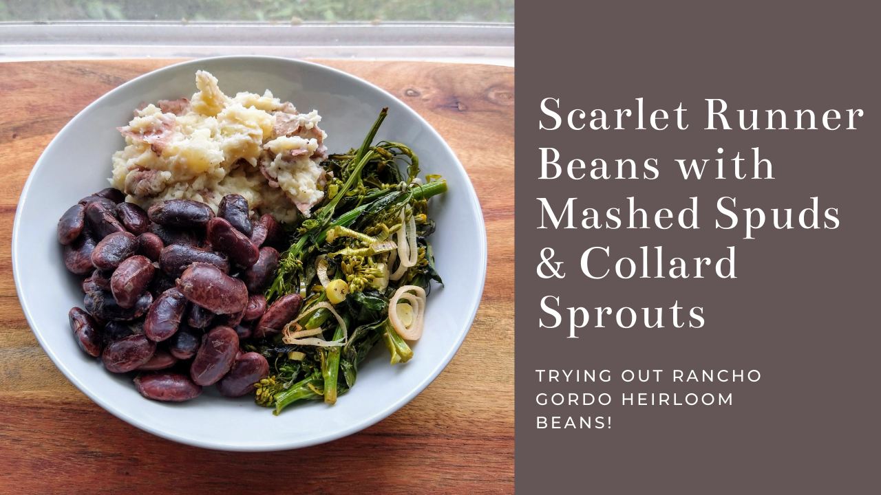 Scarlet Runner Beans, Vegan Mashed Spuds & Collard Sprouts