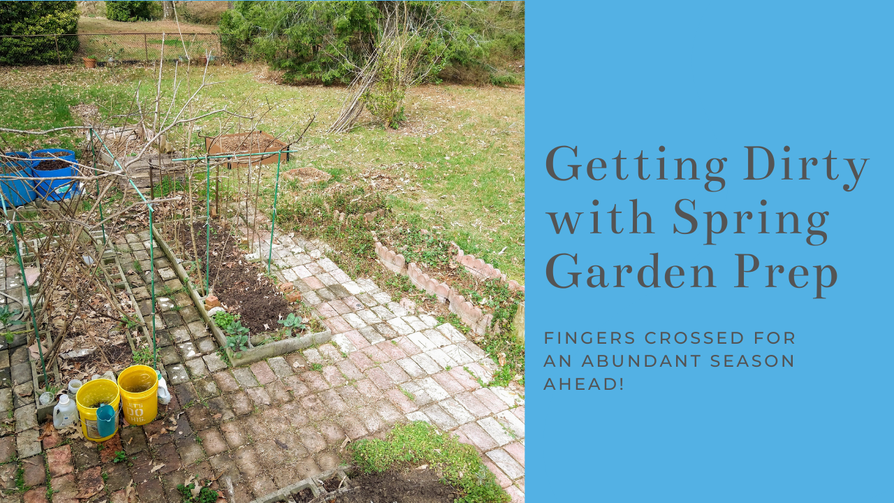 The First Hints of Spring {Prepping the Garden for 2022}